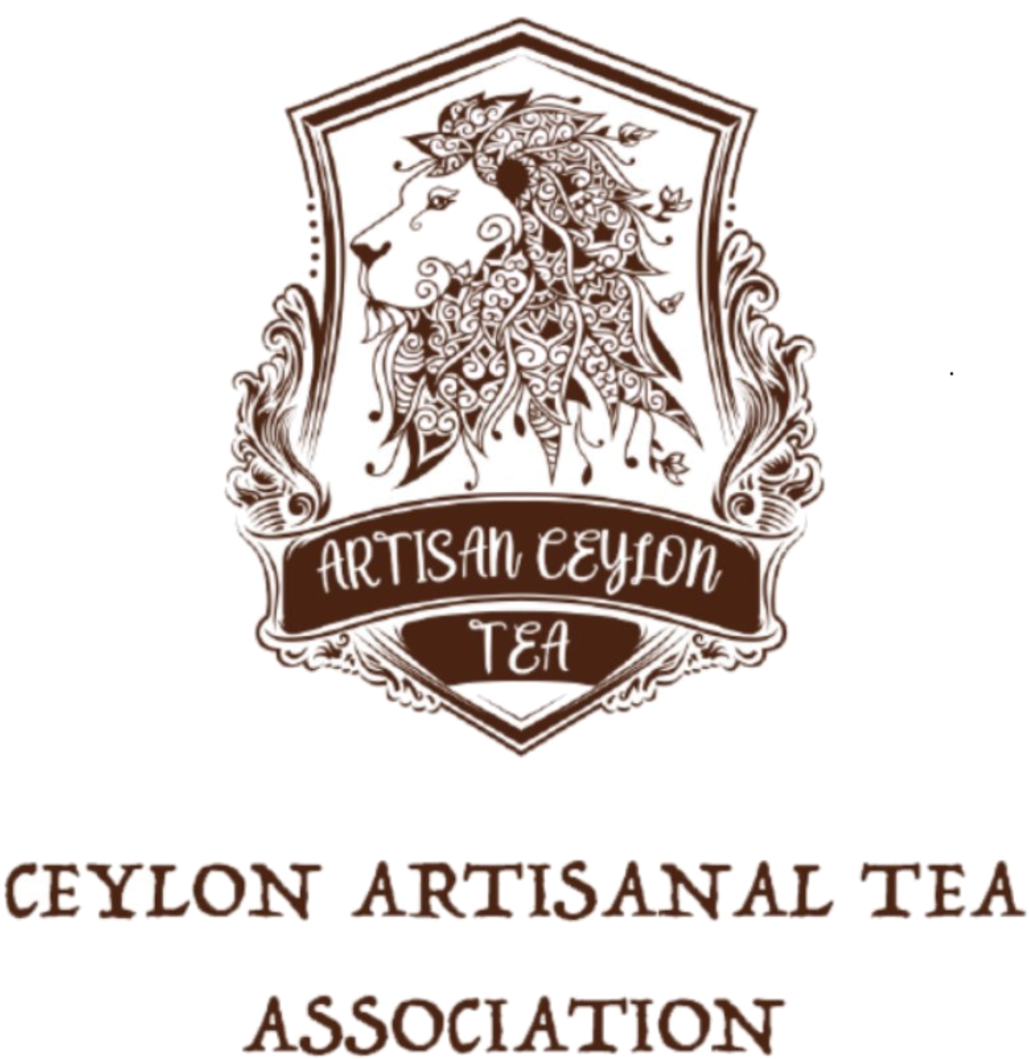 CATA – Home – CATA